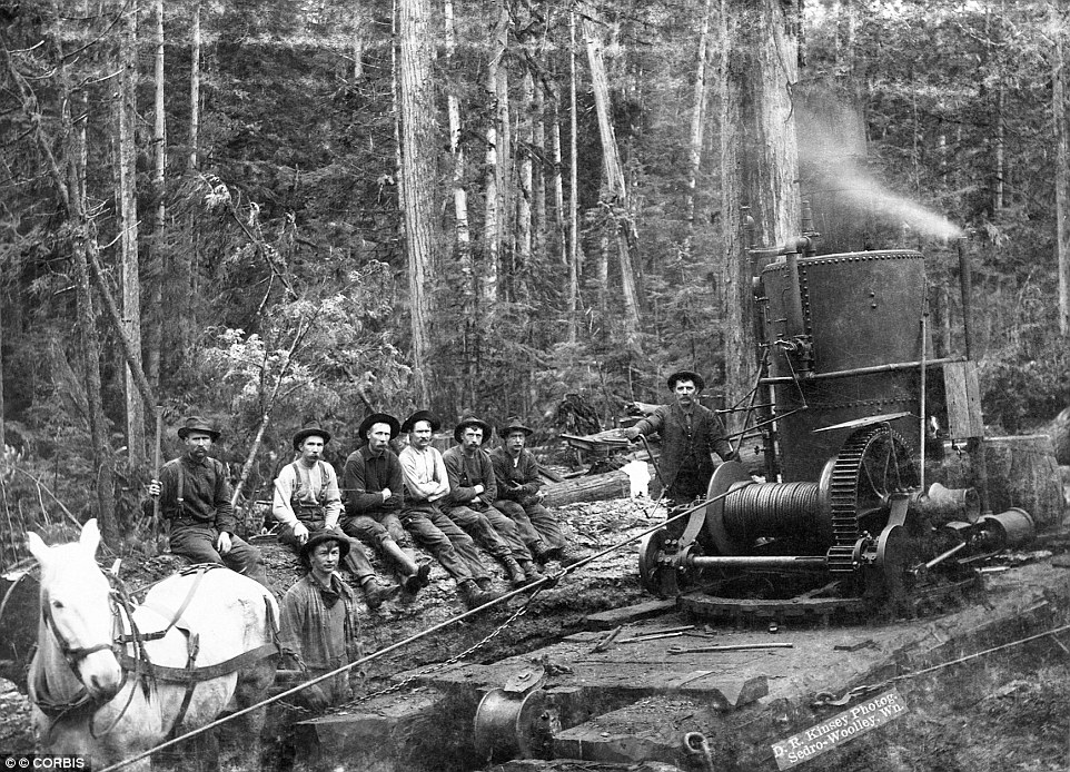 1800 S Logging Photos