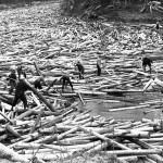 History of Lumberjacks & Logging in the 1800s - Photography