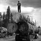 History of Lumberjacks & Logging in the 1800s - Photography