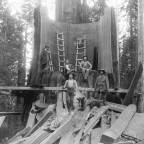 History of Lumberjacks & Logging in the 1800s - Photography