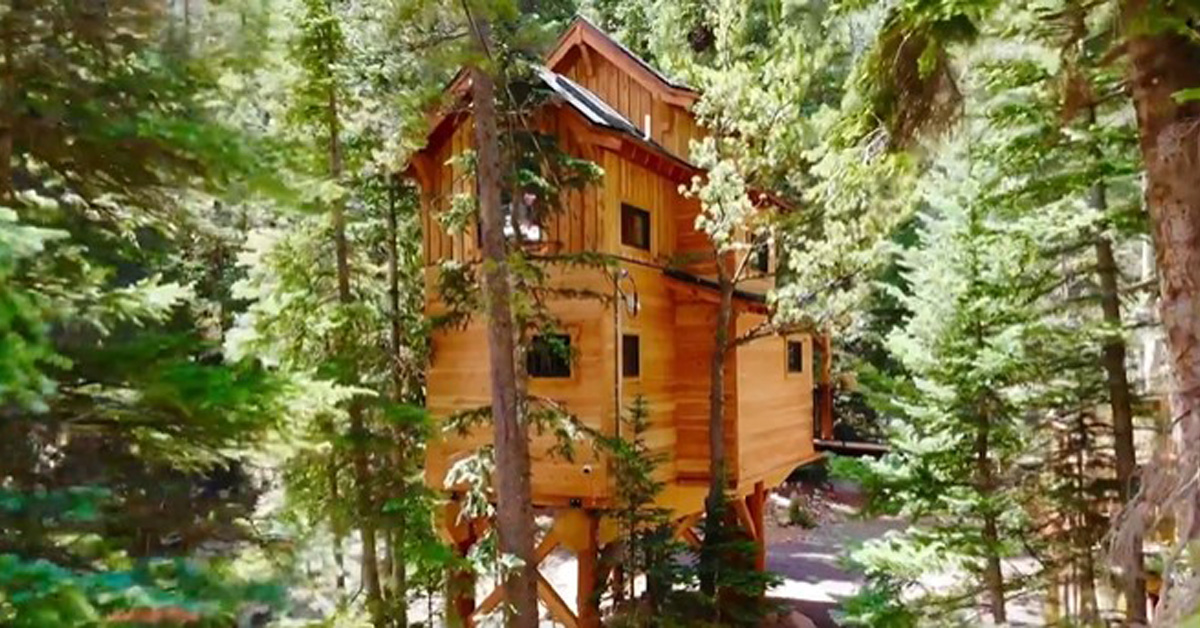 Spotlight Treecraft Design-Build: Colorado Treehouse Rental